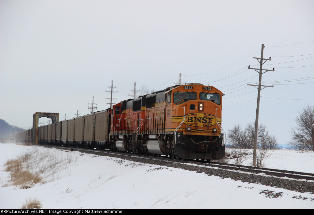 Pumpkin Macs On The Point